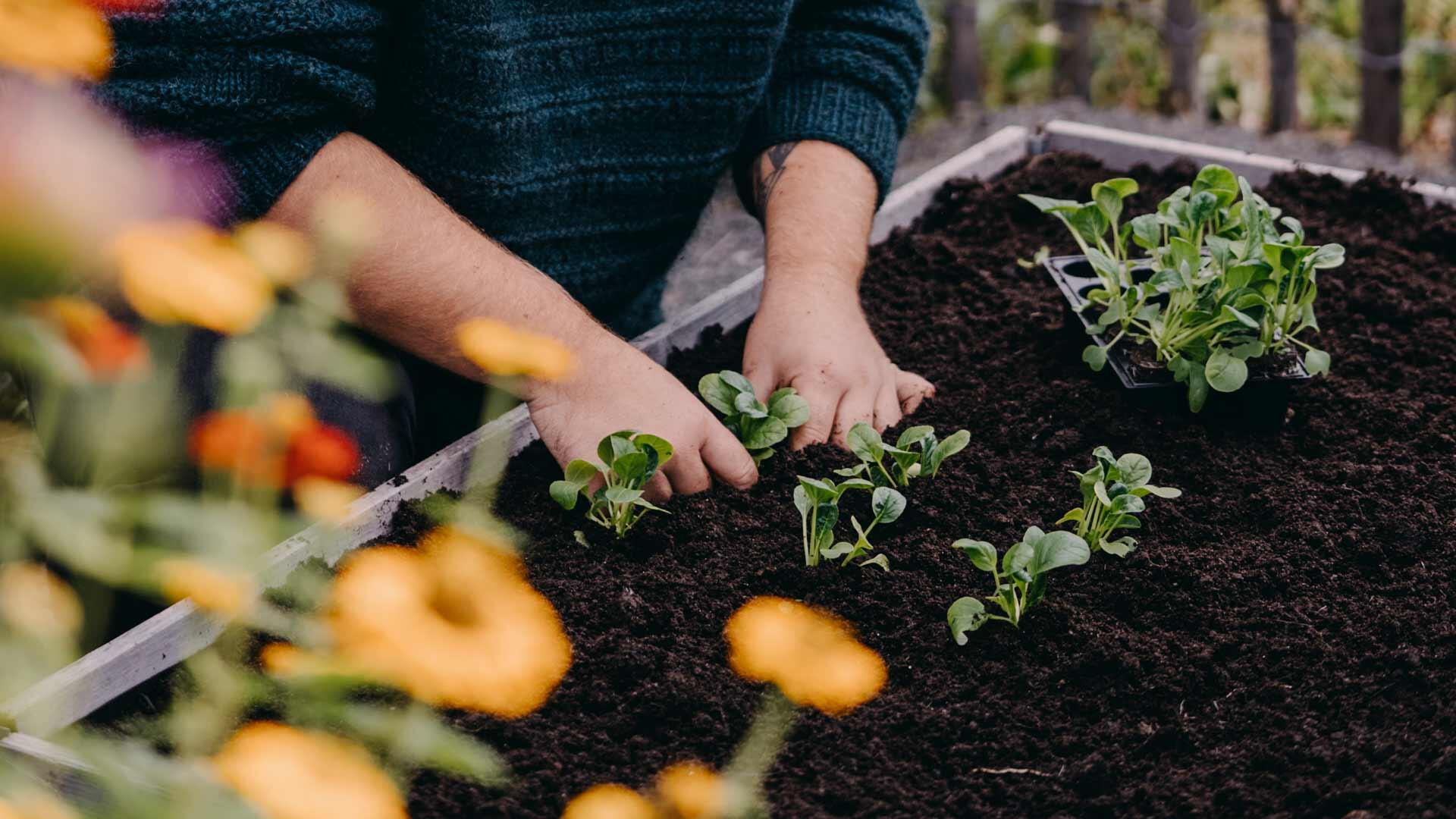 Reconnect to nature