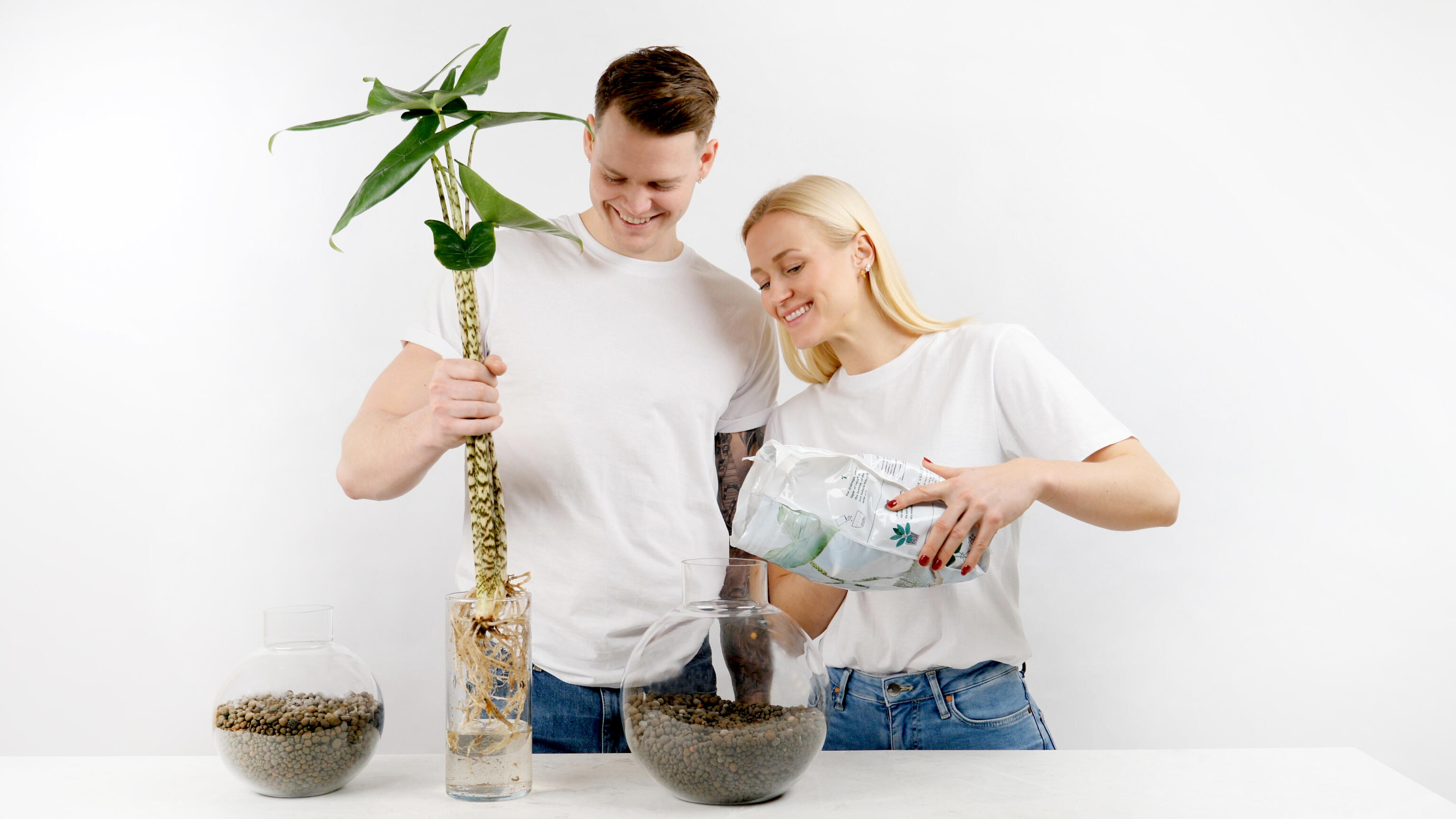 Lecakuler | Nelson Garden