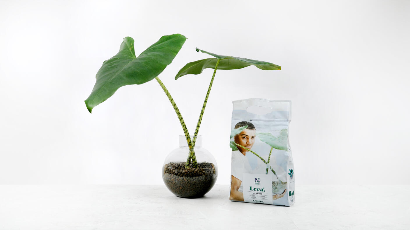 Lecakuler 'Leca®' - Effektivt dyrkingsutstyr