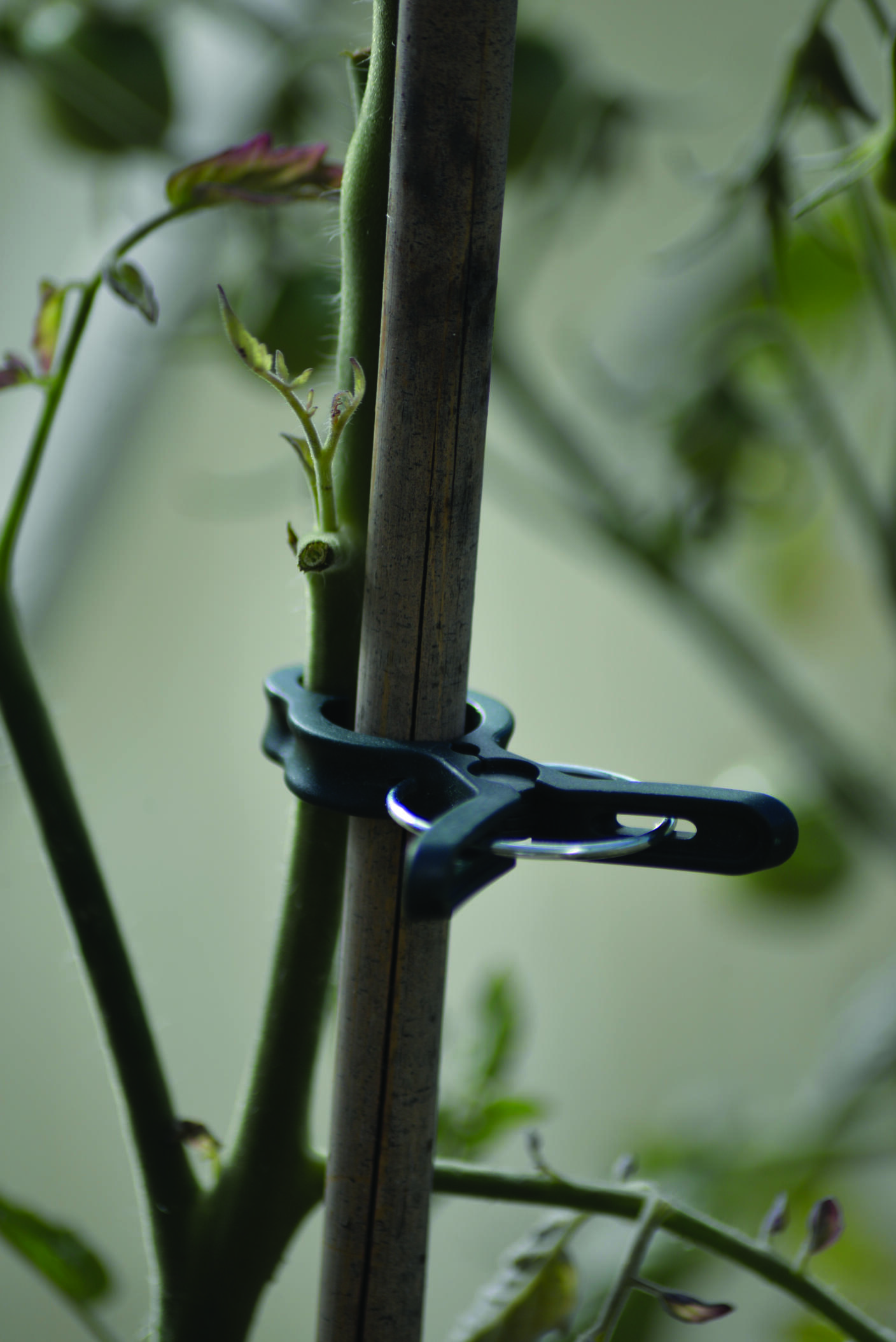 Planteklips 'Strong' - Hageredskap fra Nelson Garden