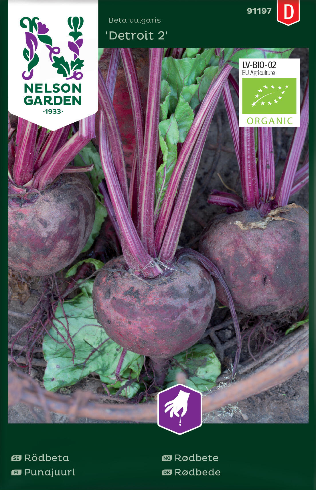 Reconnect to nature | Nelson Garden